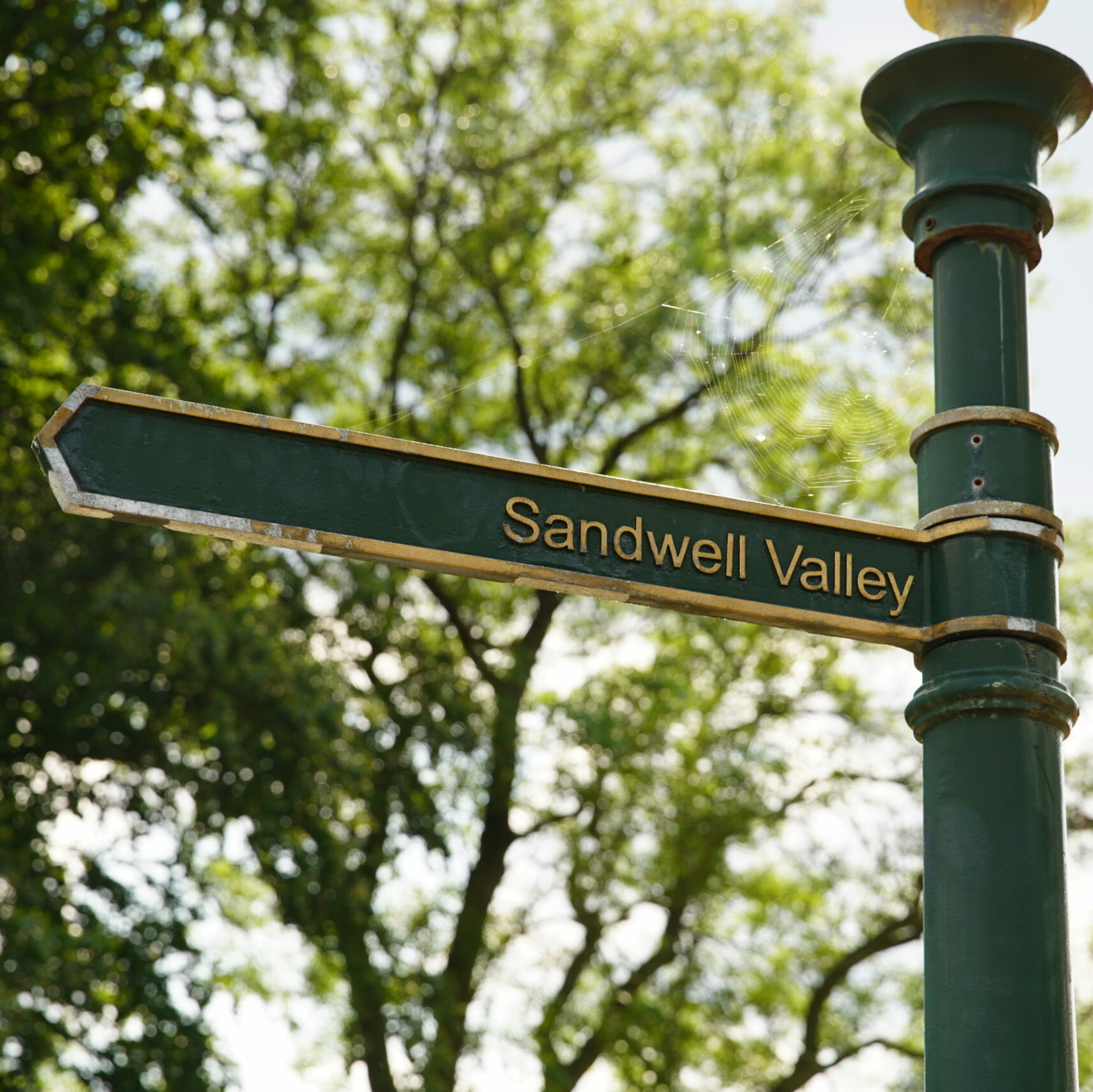 Release Potential – Release Potential