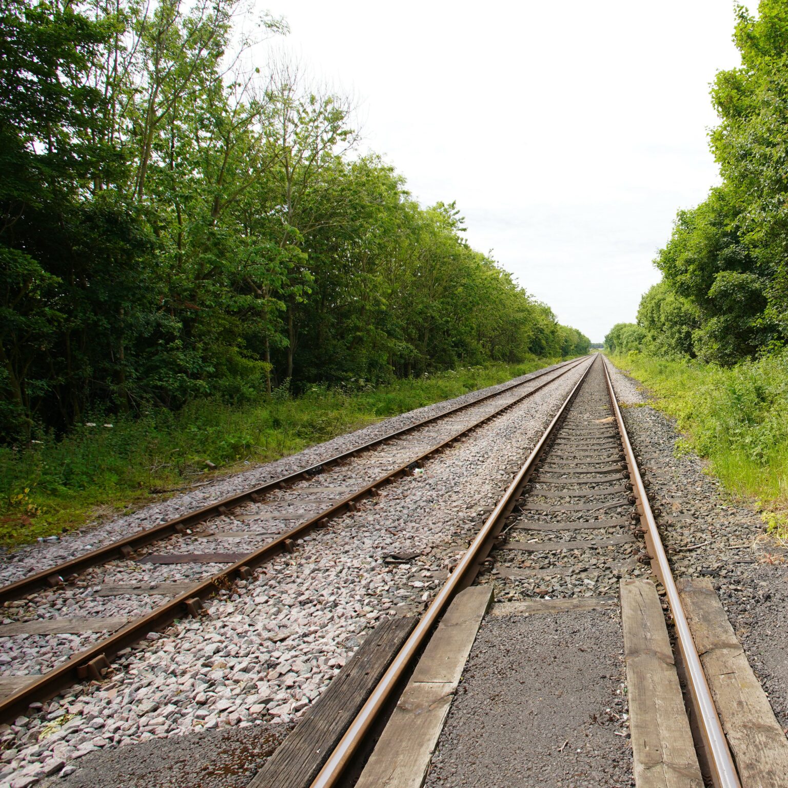 Release Potential – Release Potential