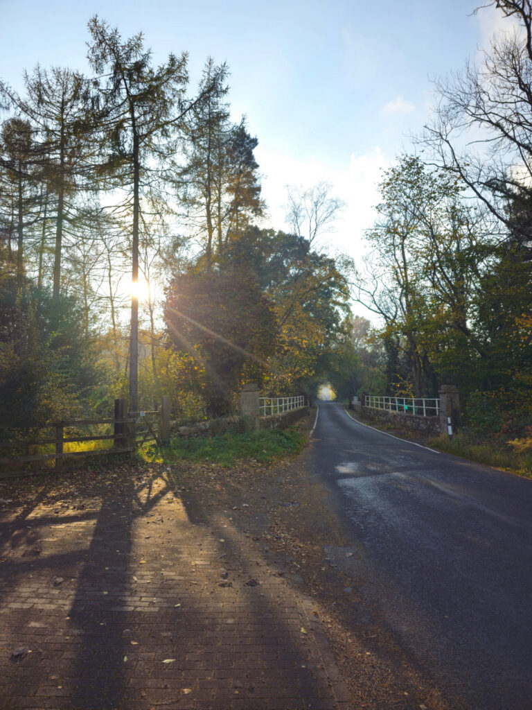 About – Release Potential