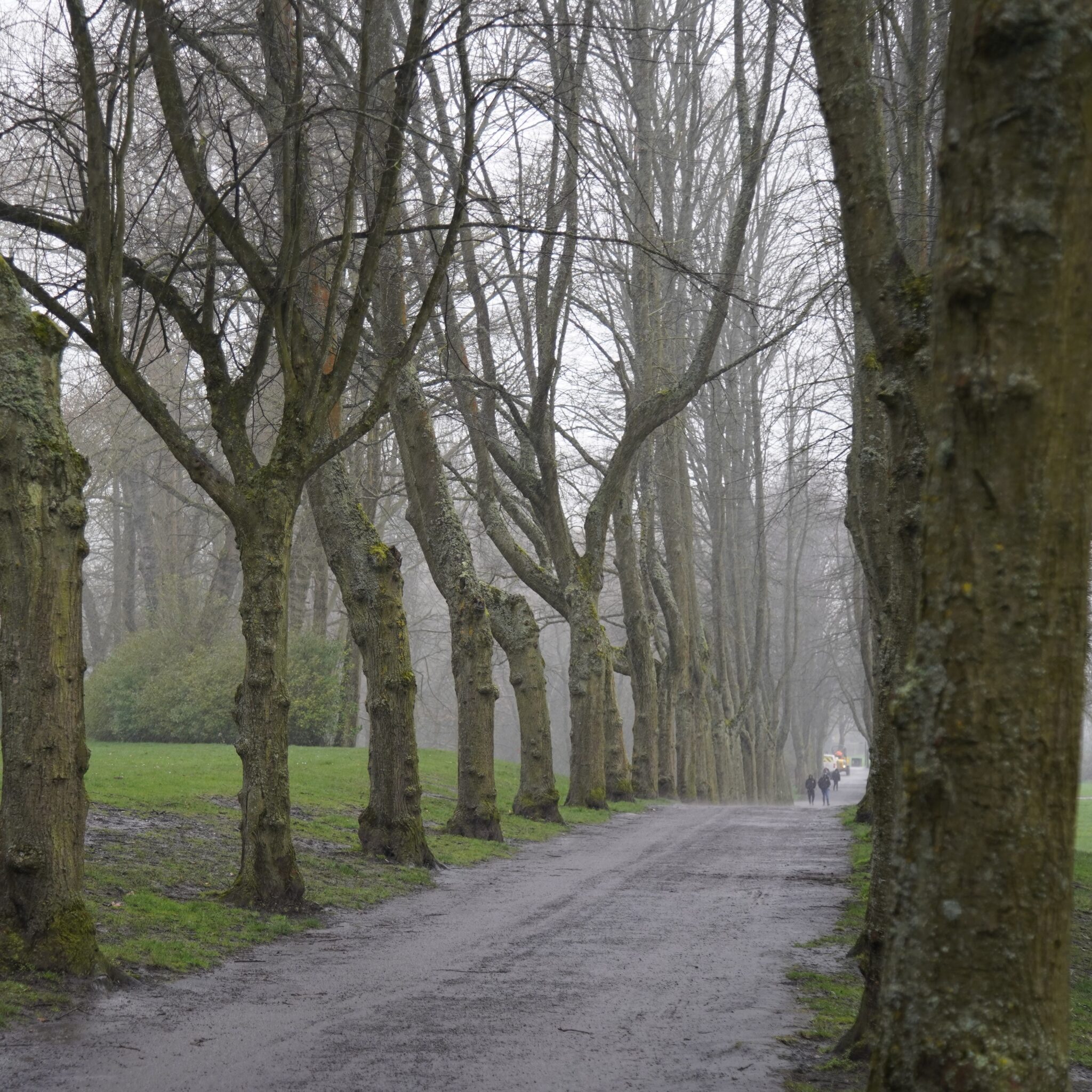 Release Potential – Release Potential